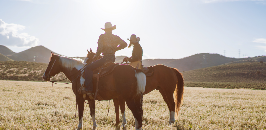 Home - Pine Hill Ranch in Little Rock, AR
