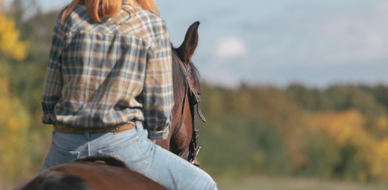 Home - Pine Hill Ranch in Little Rock, AR