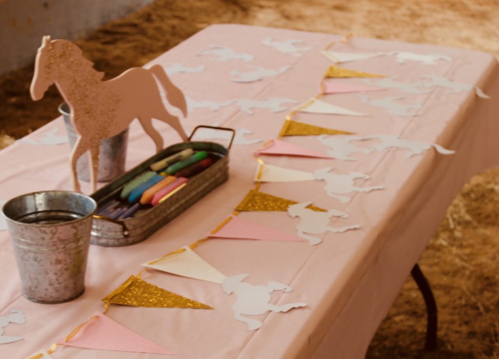 Party at Pine Hill - Pine Hill Ranch in Little Rock, AR